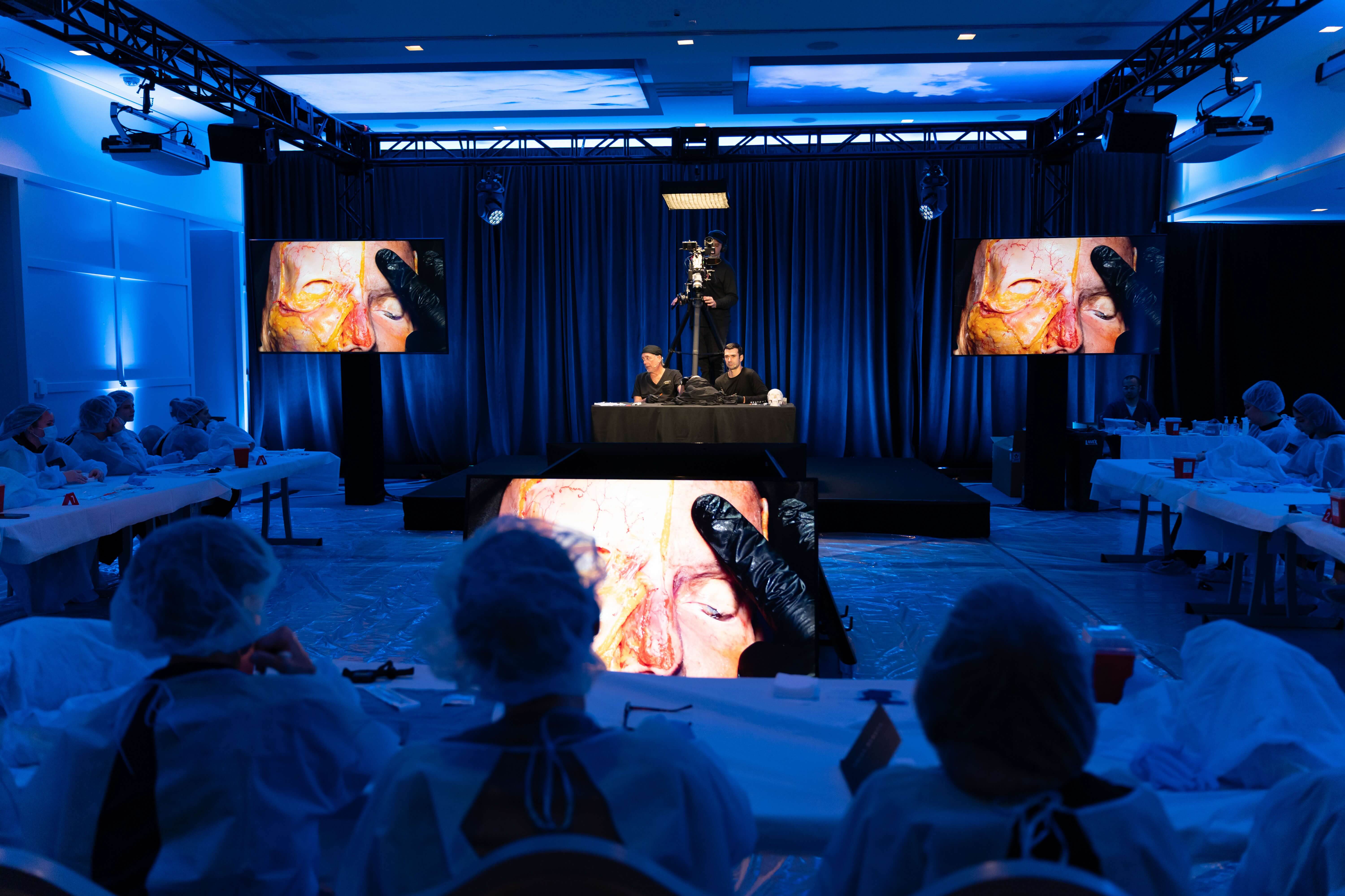 Anatomy of the Midface | Cadaver Dissection | Cadaver Dissection